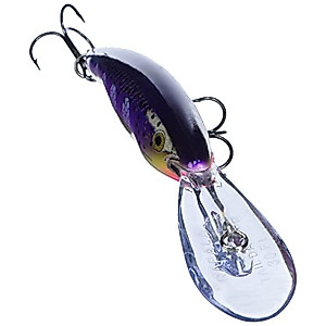 Rapala Deep Tail Dancer 11 Fishing lure, 4.375-Inch, Purpledescent