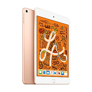 Apple iPad mini 5th Generation, Wi-Fi, 256GB - Gold (Renewed)