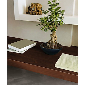 d-c-fix Peel and Stick Contact Paper Apple Birch Wood Grain Self-Adhesive Film Waterproof & Removable Wallpaper Decorative Vinyl for Kitchen, Countertops, Cabinets 17.7" x 78.7"