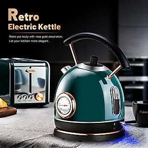 Pukomc 1.8L Electric Water Kettle with Temperature Gauge, Hot Water Boiler & Tea Heater with Curved Handle, Visible Water Level Line, Led Light, Auto Shut-Off&Boil-Dry Protection,Green