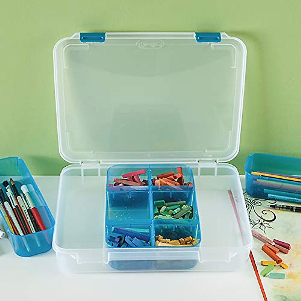 STERILITE Divided Case, Multicolor