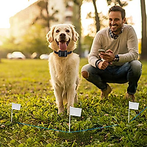 Rivulet Dog Fence Wire 984FT Underground Dog Fence Wire Professional Dog Fence Wire Electric Dog Fence Wire Dog Containment Fence Coil Wire Cables for 023/227/227b Pet Fencing Wire