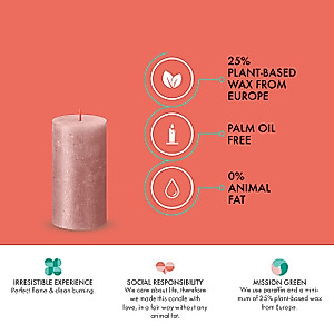 BOLSIUS Pink Shimmer Metallic Pillar Candles 4 Pack - 2.75 X 5 Inches - Premium European Quality - includes Natural Plant-Based Wax - Unscented Dripless Smokeless 60 Hour Party & Wedding Candles