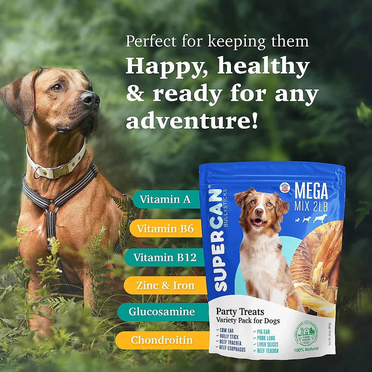 SUPER CAN BULLYSTICKS 2lb Mega Mix Natural Dog Chews Variety - Pig Ears, Cow Ears, Beef Lung, Liver, Trachea - Healthy Treats Small Medium Large Dogs - Long Lasting Bully & Gullet Sticks