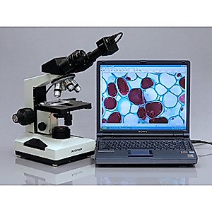 AmScope B490 Compound Binocular Microscope, WF10x Eyepieces, 40X-1000X Magnification, Brightfield, Halogen Illumination, Abbe Condenser, Double-Layer Mechanical Stage, Sliding Head, High-Resolution Optics, Anti-Mold
