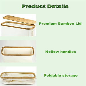 Toilet Paper Storage Basket, Toilet Paper Organizer with Bamboo Lid for Bathroom, Free Standing Toilet Paper Holder Tissue Bin with Visualisation Window (Beige)