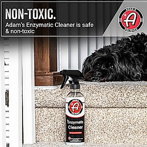 Adam's Polishes Enzymatic Cleaner 16oz - Eliminate Stains & Odors From Extreme Bio-Based Messes - Water-Based, Non-Toxic All Purpose Interior Cleaner - Safe On All Surfaces In Your Home or Vehicle