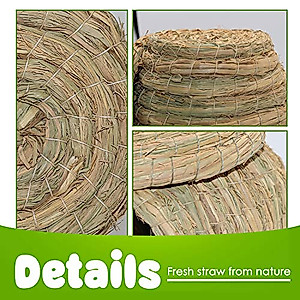 BWOGUE Straw Bird Nest Eco-Friendly Straw Birdhouse 100% Natural Fiber Bird Nest Hut Cozy Resting Breeding Place for Parrots Parakeet Conures Cockatiel,Large