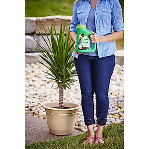 Miracle-Gro Shake 'N Feed Palm Plant Food, 4.5 lb., Feeds up to 3 Months