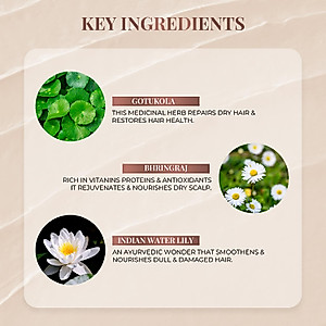 Just Herbs Organic Kumuda Hair Conditioner with White Water Lily & Gotu Kola For Hairfall & Hair Thinning, Silicon & Sulfate Free Conditioner - 6.8 fl.oz.