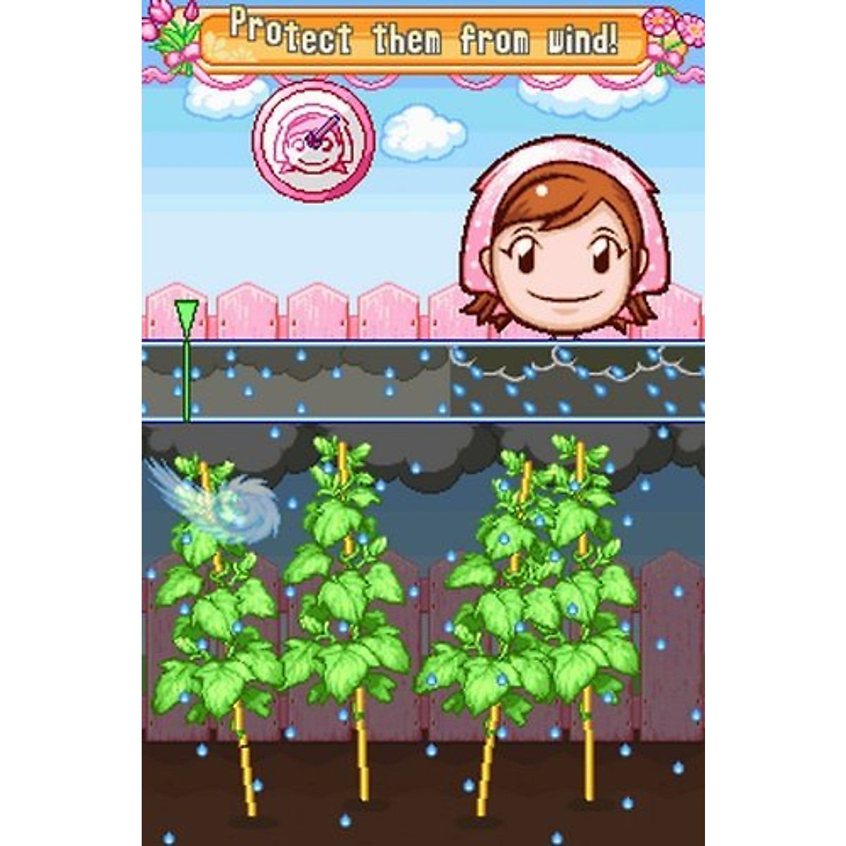 Gardening Mama - Nintendo DS (Renewed)