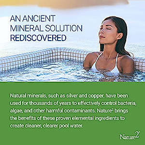 Nature2 Zodiac W20750 SPA Stick Mineral Sanitizer, 1-Pack, Yellow