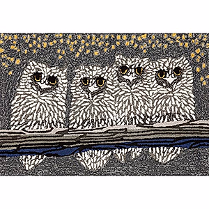 Liora Manne Frontporch Indoor Outdoor Rug - Novelty Design, Hand Hooked, Weather Resistant, UV Stabilized, Foyers, Porches, Patios & Decks, Owls, 2' x 3'