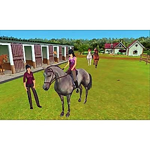 Horses 3D