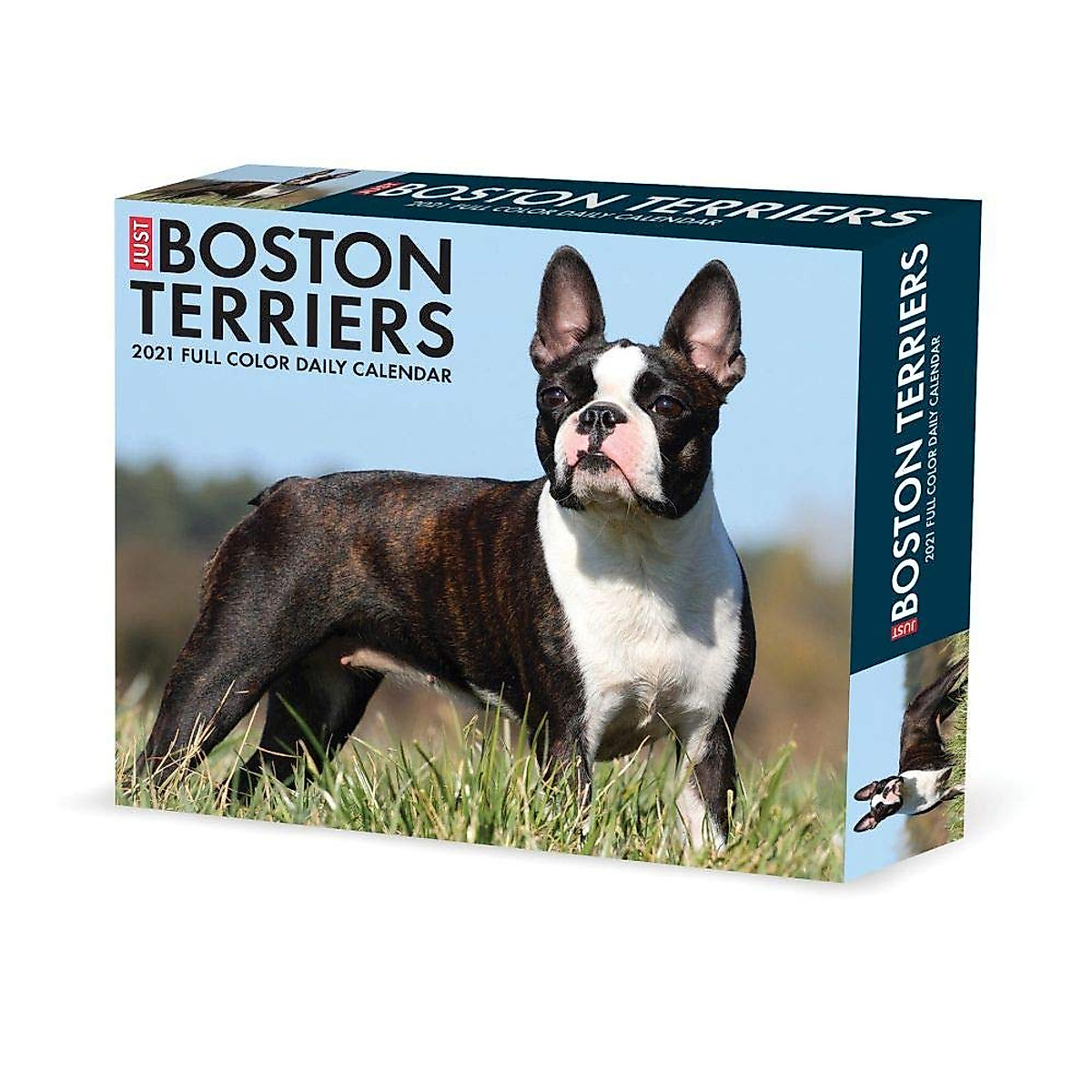 Just Boston Terriers 2021 Box Calendar (Dog Breed Calendar)