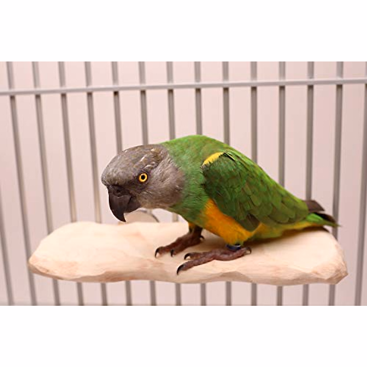 Hardwood Platform NU Perch for Small to Medium Parrots