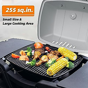 Ooiior Portable Gas Grill, Small Gas Grills Propane, Tabletop Gas Grill Outdoor Camping Grill BBQ Grill 24000 BTU with 2 Burners, Removable Side Tables, Built in Thermometer, Grey