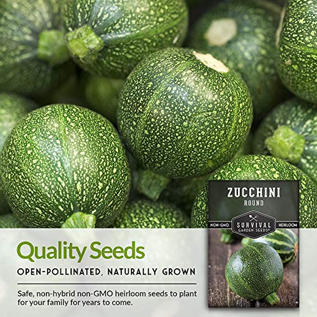 Survival Garden Seeds - Round Zucchini Seed for Planting - Pack with Instructions to Plant and Grow Small Green Zucchinis in Your Home Vegetable Garden - Non-GMO Heirloom Variety