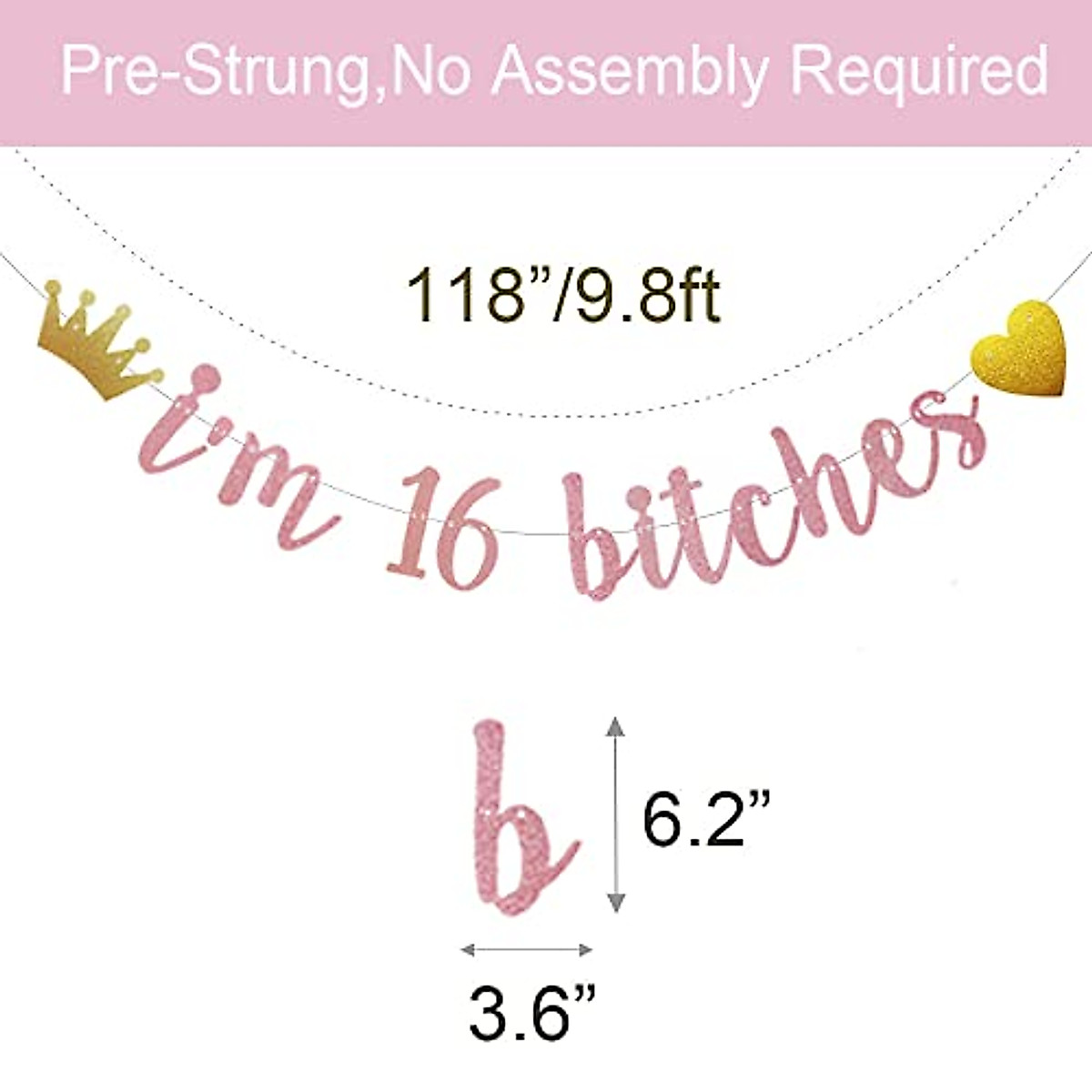 ABCpartyland Rose Gold Glitter Paper I'm 16 Bitches Banner, Funny 16th Birthday Party Decorations Supplies, Pre-Strung,Letters Rose Gold I'm 16 Bitches