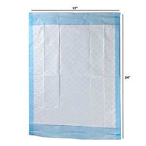 Disposable Changing / Under Pads [Pack of 25] Disposable Soft Absorbent Waterproof 17''x24'' Incontinence Underpad Protector Liners for Beds, Chairs, Diaper Changing – for Adults and Baby Protection
