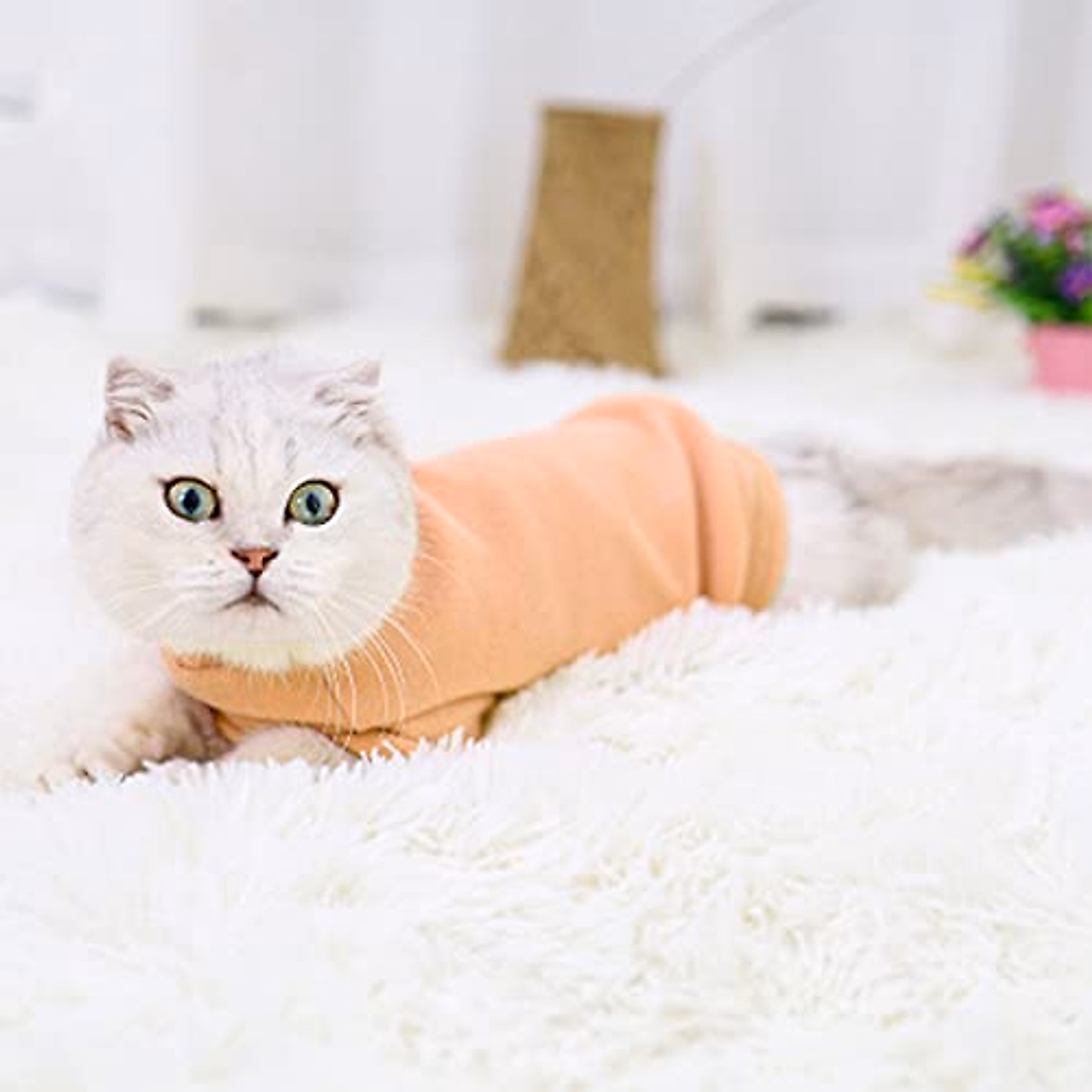 BIGNADO Small Dog Sweatshirt Cat Sweaters Spring Soft Warm Coat Cat Vest Clothes Puppy Kitten Coat Dog Cat Sweater Warm Dog Shirt for Small Dog Chihuahua Bulldog Puppy Kitten (M)