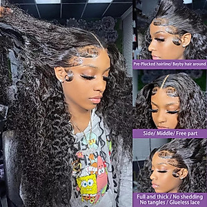 Water Wave Lace Front Wigs Human Hair Pre Plucked Baby Hair HD Transparent Wet and Wavy Lace Wigs 180% Density Brazilian Glueless 13x4 Water Wave Lace Frontal Wig Natural Hairline Natural Black 20Inch