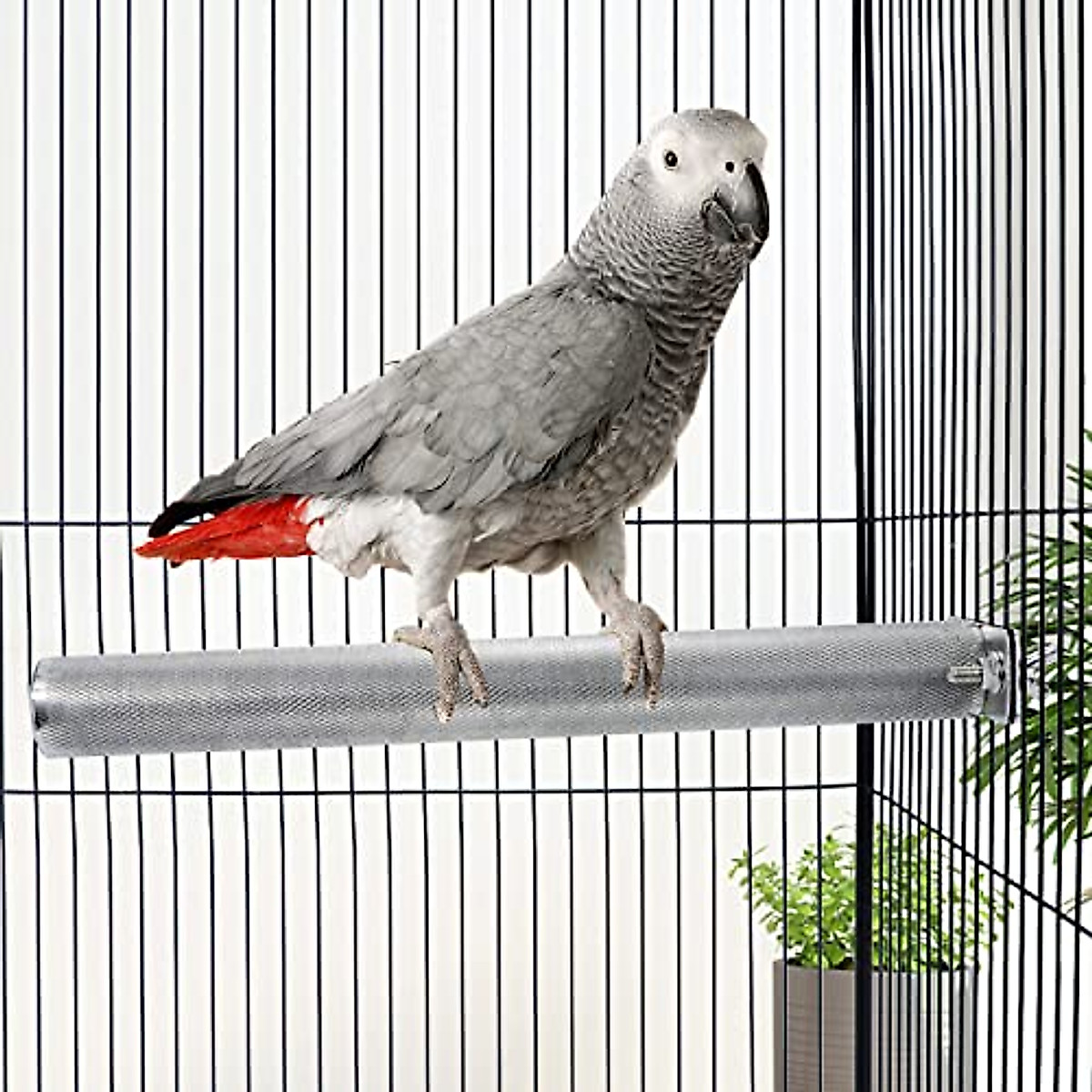 Wontee Bird Perch Stand Stainless Steel Parrot Cage Perch Accessories for Parakeets Cockatiels Conures African Greys Macaws Amazon Parrots (XL (11.8"x1.3")