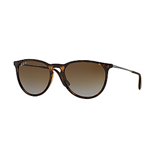 Ray-Ban RB4171 Erika Sunglasses + Vision Group Accessories Bundle (Light Havana/Grey Gradient Brown Polarized (710/T5),womens