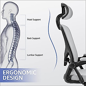 Yaheetech Executive Office Chair Ergonomic Desk Chair High Back Mesh Computer Chair with Lumbar Support Adjustable Armrest, Backrest and Headrest Swivel Chair for Manager Conference Room,Light Gray