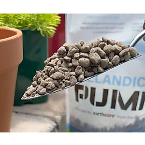 Pure Icelandic Potting Pumice, 10 lbs (8.5 quarts)