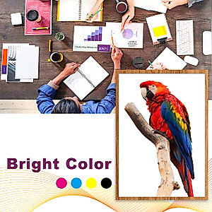 Compatible GI 290 Ink Bottles, Replacement for Canon GI-290 GI290 Ink for Canon G3200 G1200 G2200 G4200 G4210 G1000 G1100 G1310 G1400 G1800 G1810 G1900 G2000 G2100 G2400 Printers（4 Pack）