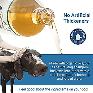 4Legger Organic Dog Shampoo USDA Certified, Hypoallergenic Dog Shampoo, Dog Coconut Shampoo, Gentle Fragrance Free Dog Shampoo with Aloe for Soothing Relief of Dry, Itchy, Sensitive Allergy Skin 16 oz