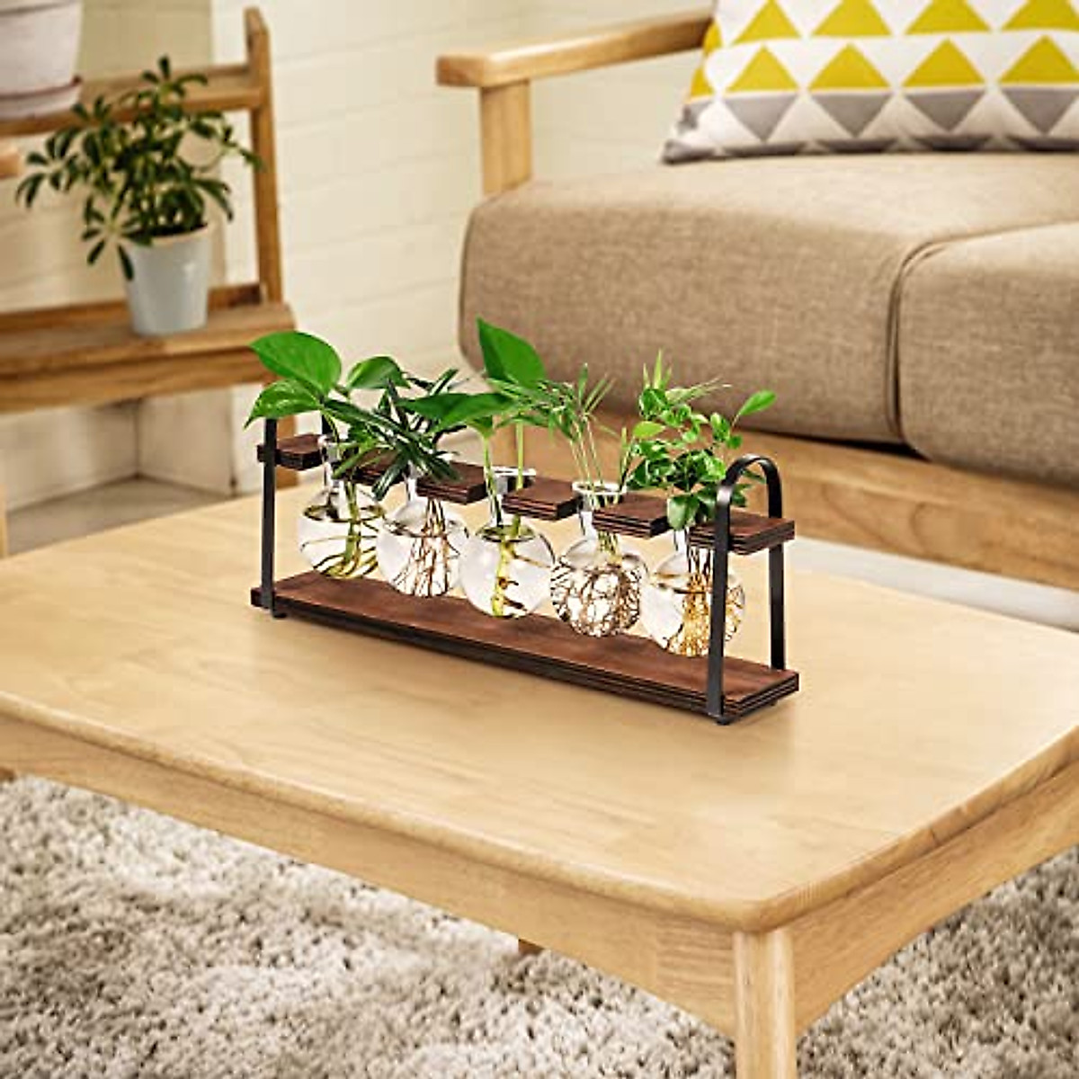 THYGIFTREE Plant Propagation Stations with Wooden Stand, Desktop Retro Plant Terrarium Bulb Vase for Indoor Hydroponic Flowers, Tabletop Glass Planter Housewarming Gifts for Plant Lovers