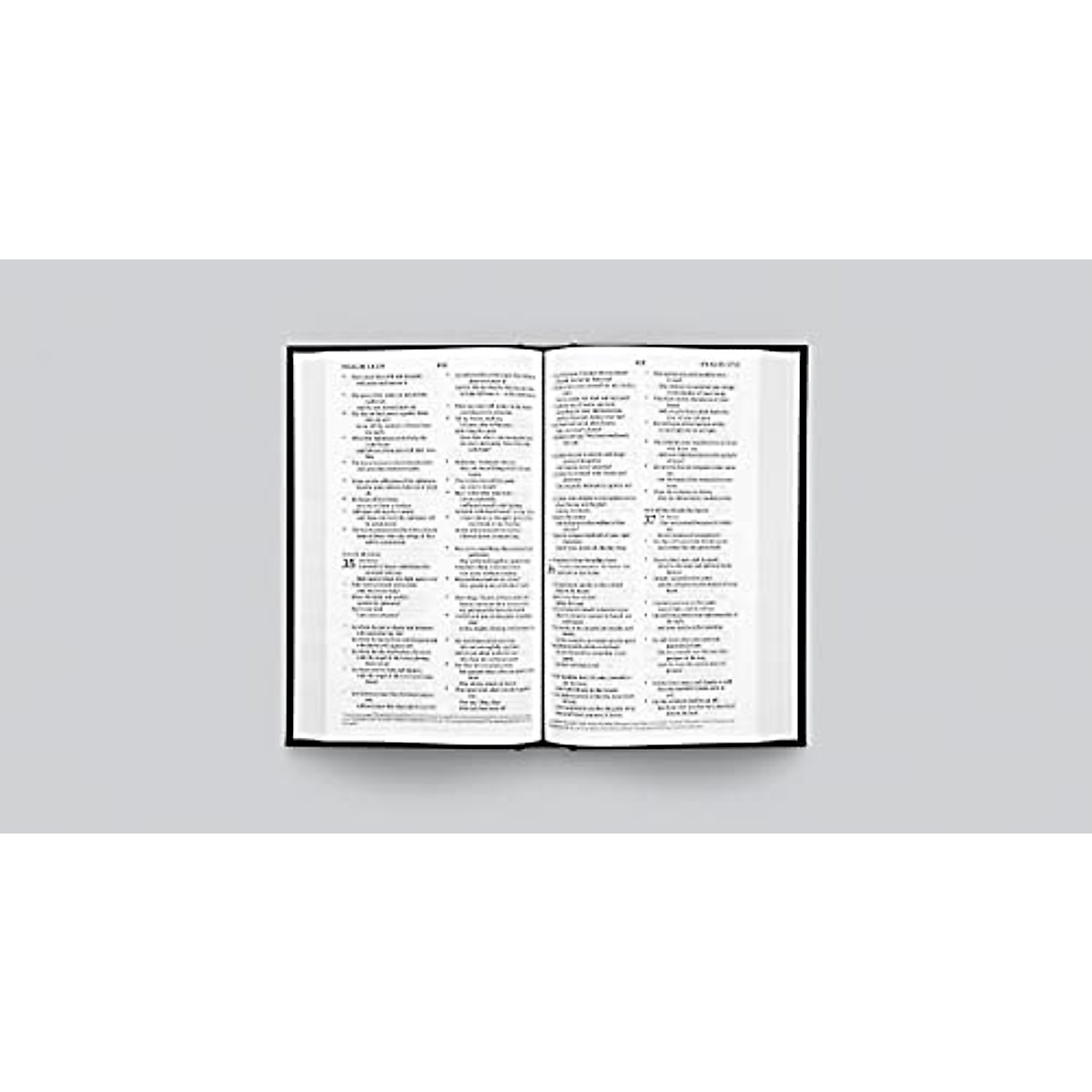 ESV Church Bible (Black)