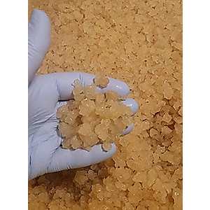 Six Brewing Bags with Florida Sun Kefir Live LARGE Water Kefir Grains (Tibicos) Natural Probiotics