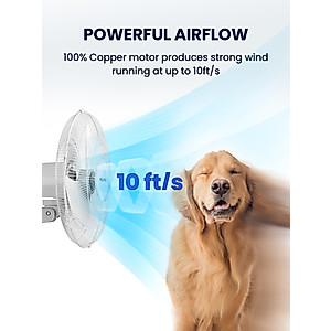 PELONIS 16’’ Wall Mount Fan with 3 Speed Settings Oscillating Household Wall Mounted Fan with Adjustable Tilt High Velocity for Garage Patios Bedroom, 2 Packs White