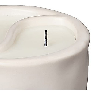 Paddywax Candles YY1004Z Yin & Yang Collection Scented Candle, 11-Ounce, White - Black Salt | Teakwood