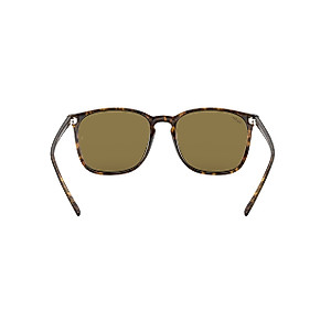 Ray-Ban RB4387 Square Sunglasses, Light Havana/Dark Brown, 56 mm