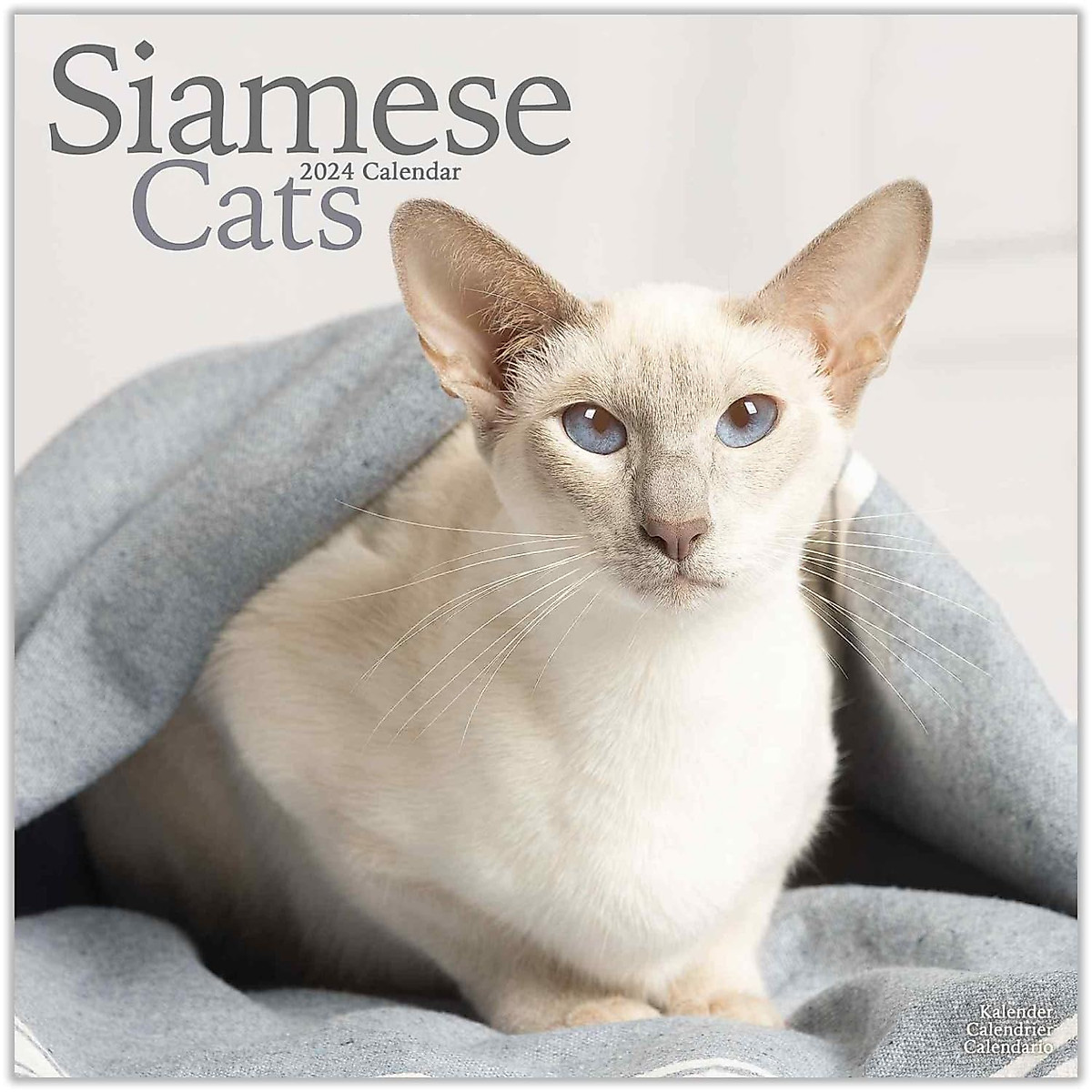 2023 2024 Siamese Cats Calendar - Cute Animal Monthly Wall Calendar - 12 x 24 Open - Thick No-Bleed Paper - Giftable - Academic Teacher's Planner Calendar Organizing & Planning