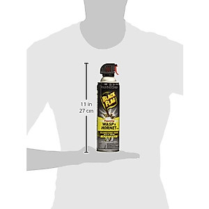 Black Flag Foaming Wasp & Hornet Killer, Kills Wasps and Hornets Nests By Contact, 14 Ounce (Aerosol Spray)