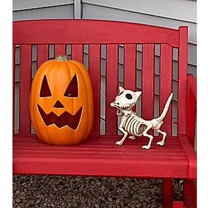 Crazy Bonez Digger The Skeleton Dog