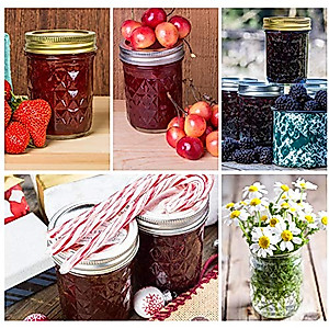 SPANLA Mason Jars 8 oz, 24 Pack Canning Jars 8 oz Half Pint Glass jars with Regular Lids and Bands, Small Mason Jars with Lids Ideal for Jelly Jam Honey Wedding Favors Shower Favors Food