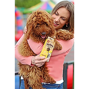 Soopa Grain Free Banana and Peanut Butter Dental Dog Treats, 4 Sticks,100 g (Pack of 1)