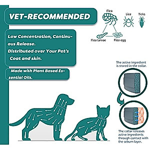 Natural Flea and Tick Collar for Small Dogs - Safe Prevention and Control of Pests on Puppies - Waterproof and Long-Lasting - Includes Free Comb and Tick Tweezer - 2-Pack, 13.8 Inches