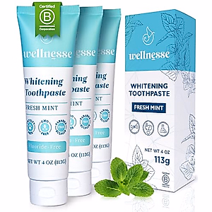 Wellnesse Whitening Toothpaste - Teeth Whitening Fluoride Free Natural Toothpaste - Fresh Mint - 3 Tubes, 4 oz - Made with Hydroxyapatite Powder, Green Tea Powder, and Aloe Vera