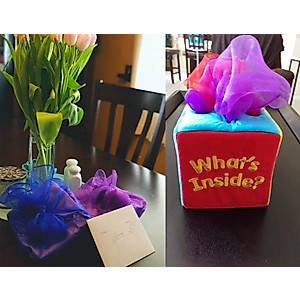 Lolakee Square Juggling Silk Dance Scarves for Kids 20 Pcs Music Scarves Dance Scarf Play Scarve for Children Movement Magic Tricks Scarves Activity Performance Props Accessories(10 Colors,24 Inches)