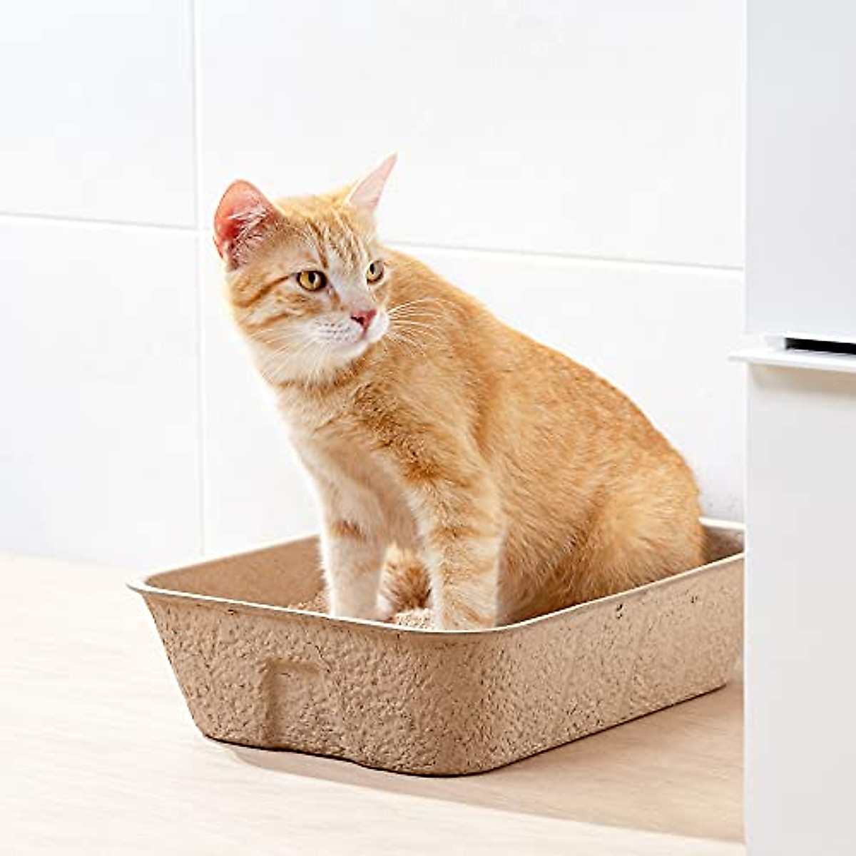 Navaris Disposable Cat Litter Trays (Pack of 5) - Cardboard Liner Tray for Cats Made of 100% Paper - Use Alone or As Box Liners - 15.9" x 11.8"