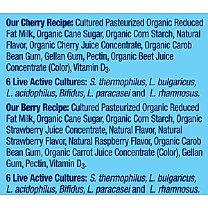 Stonyfield Organic Kids Cherry & Berry Lowfat Yogurt Tubes Variety Pack, 2 oz., 8 Ct - #1 Organic Kids Yogurt, No Artificial Flavors or Sweeteners