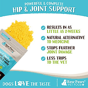 Raw Paws Green Lipped Mussel Hip and Joint Supplement for Dogs & Cats, 10-oz Powder - Green Lipped Mussels for Dogs - Natural Chondroitin Glucosamine for Dogs & Cats - Dog Joint Pain Relief for Dogs