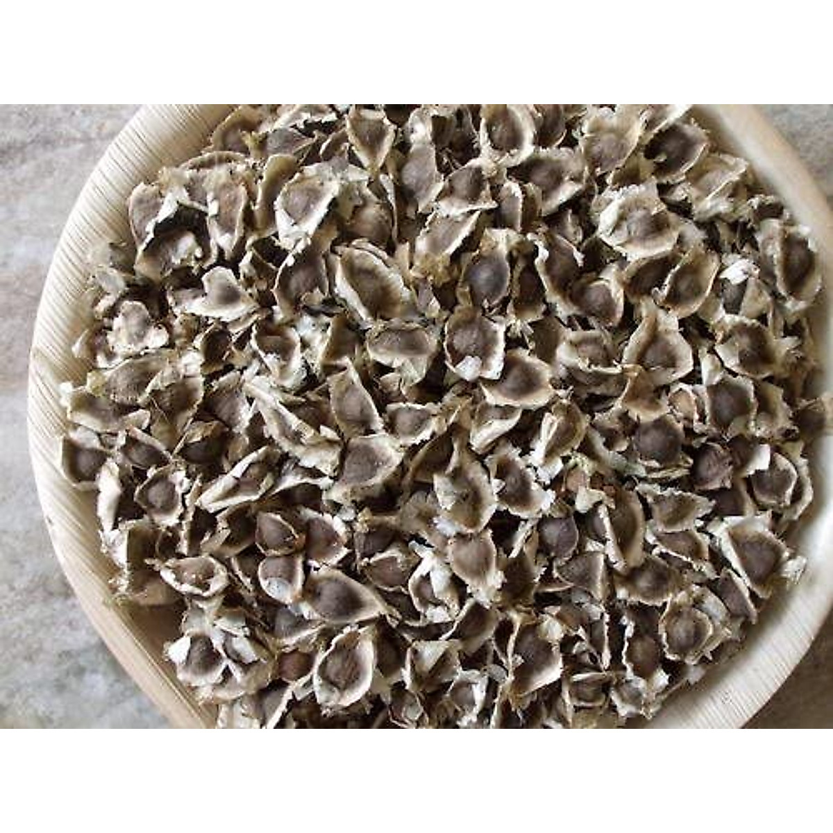 100+ Organic Moringa Seeds| Best for Planting & Gardening| High Yield Fully Matured Black Seeds|Semillas De Moringa| Antioxidant Rich Superfood - Mogo